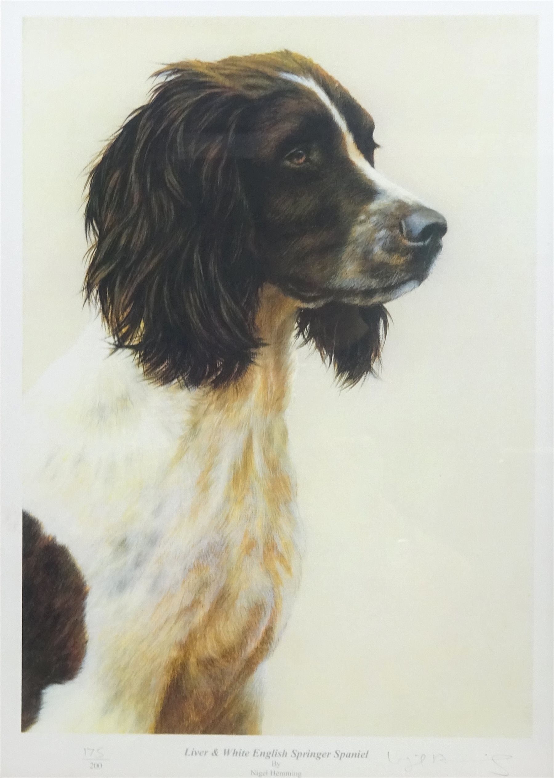 Nigel Hemming (British 1957-): 'Liver & White English Springer Spaniel ...