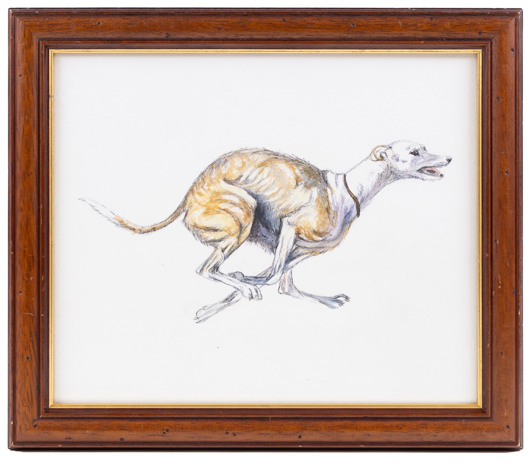 Belinda Sillars (British 1961-): Racing Greyhound | Paintings, Drawings ...