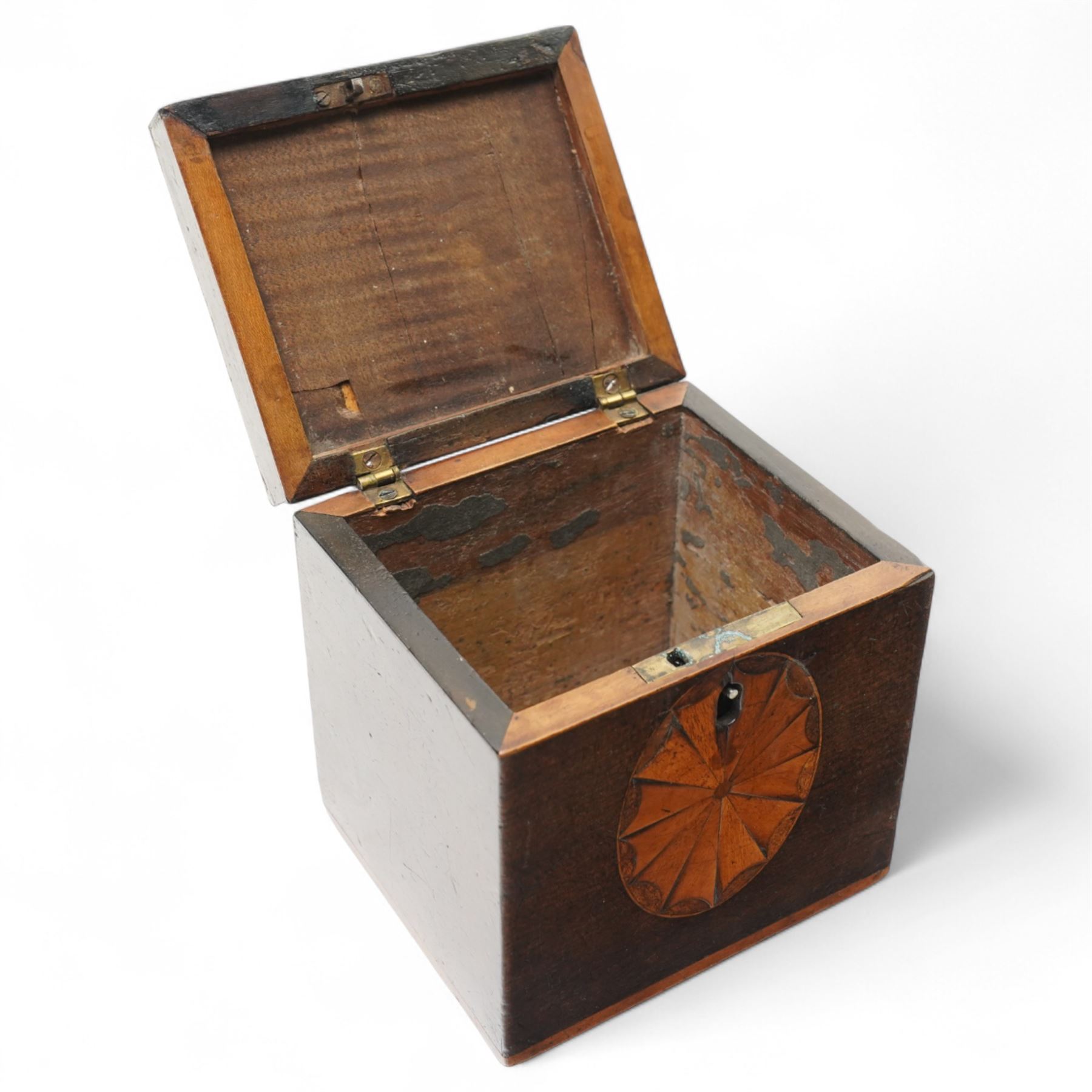 Georgian era single compartment harewood tea caddy | Wood, Metal ...