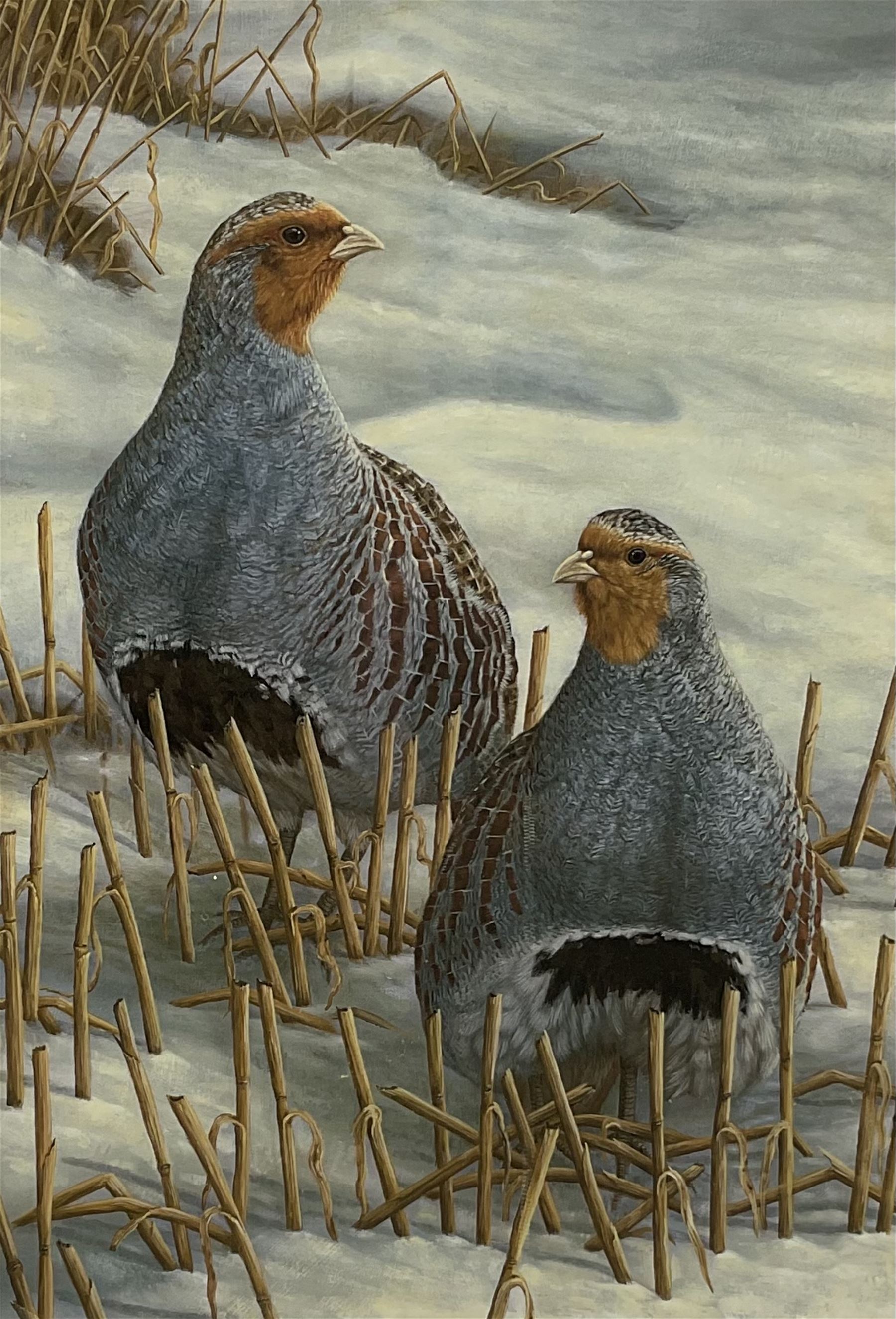Robert E Fuller (British 1972-): Grey Partridges in Snow | Paintings ...