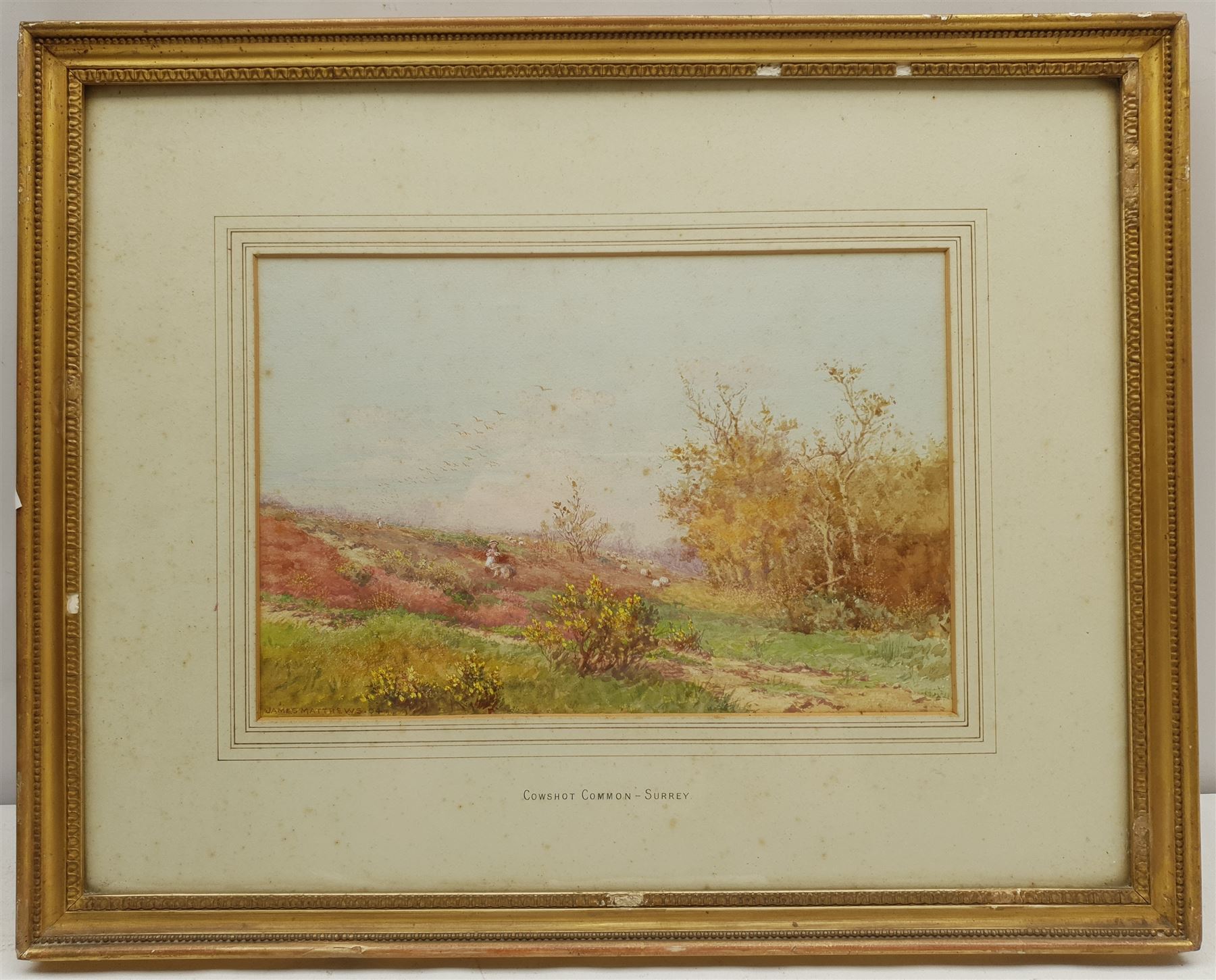James Matthews (British 19th/20th century): 'Cowshot Common Surrey ...