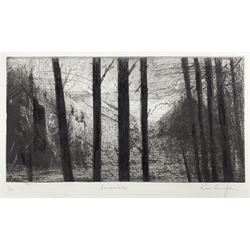 Kane Cunningham (British 1961-): 'Borrowdale' | Paintings, Drawings ...