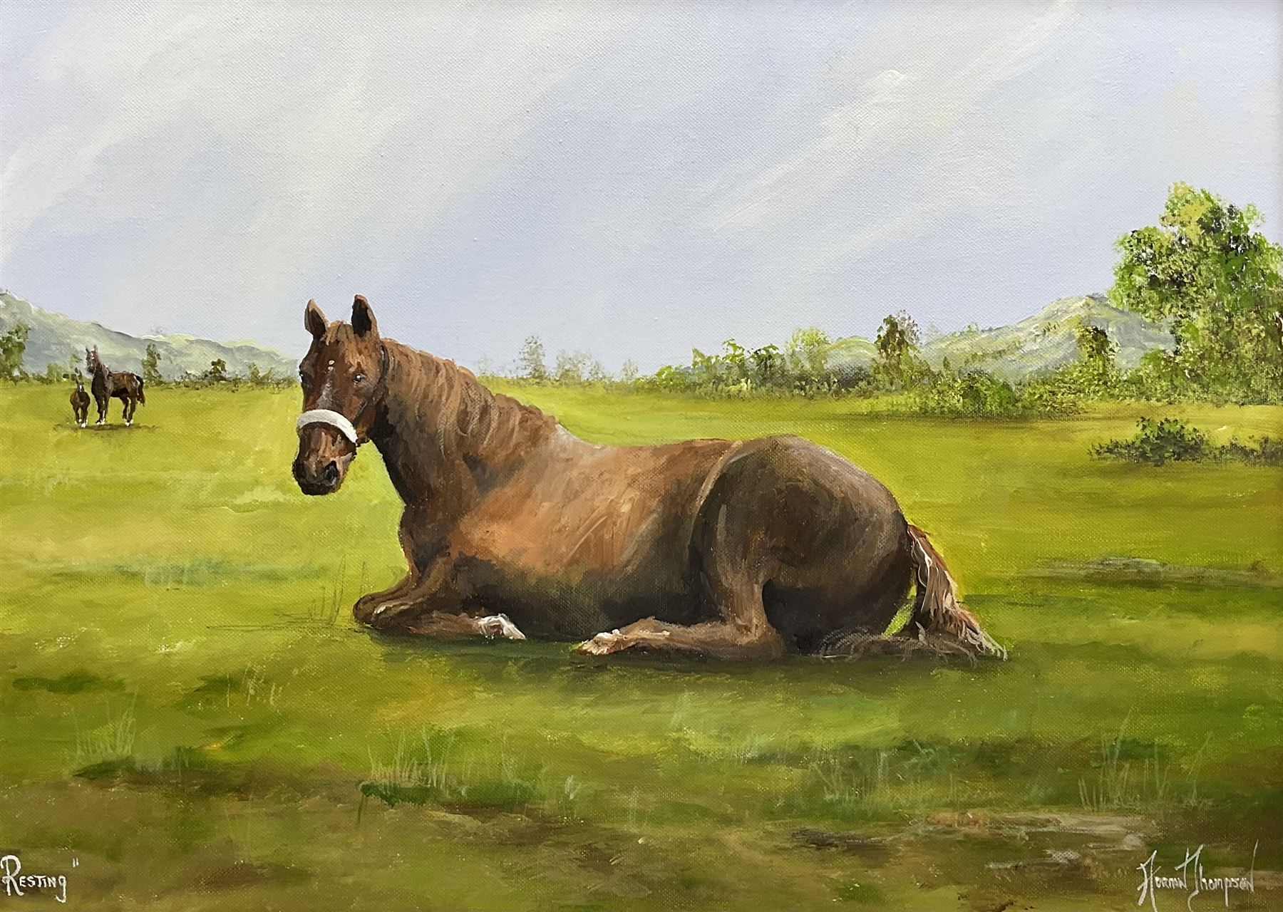 Adrian Thompson (British 1960-): 'Resting' - Horse in a Field ...
