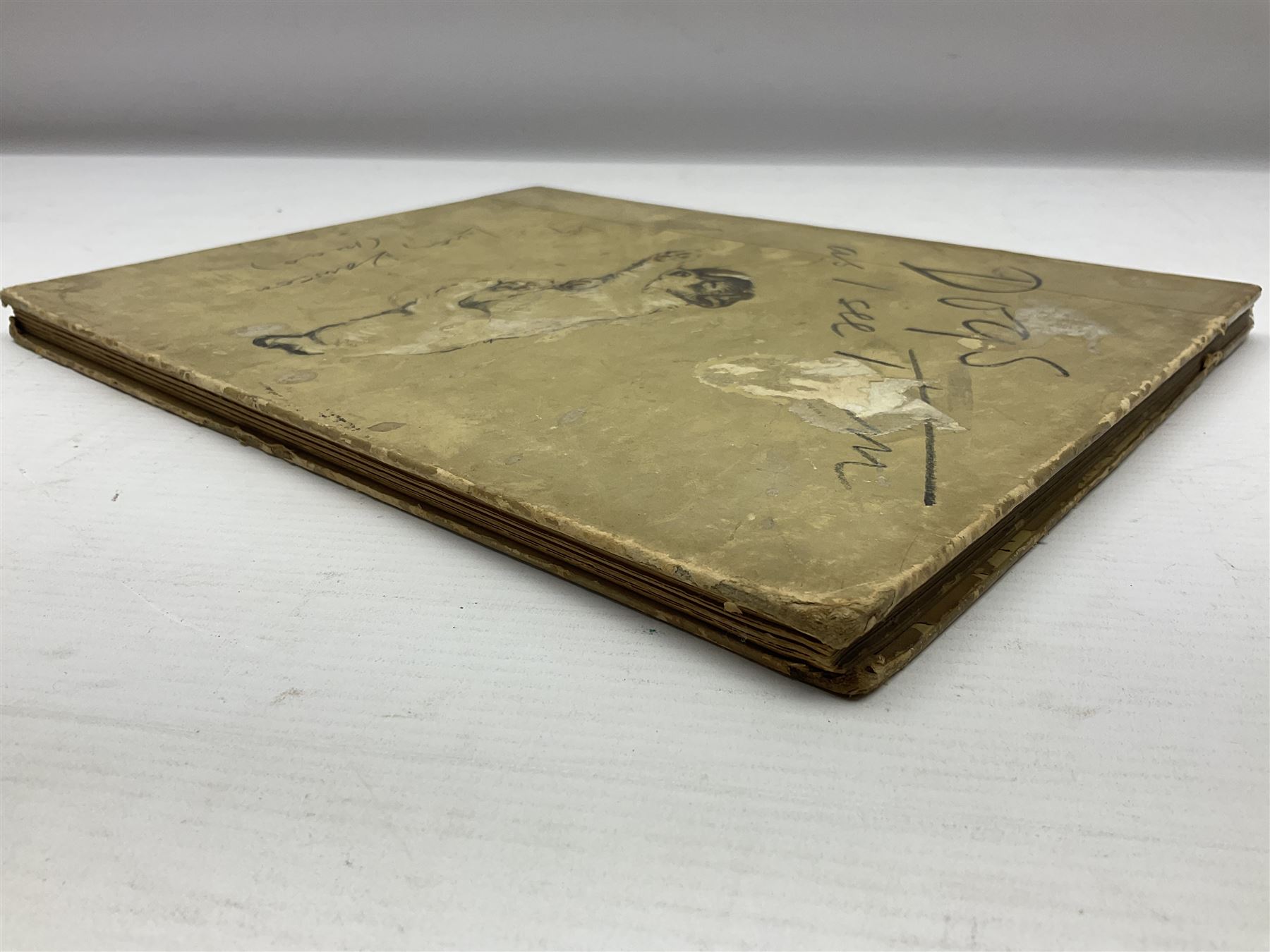 Lucy Dawson; Dogs as I see Them, with twenty two Illustrations in ...