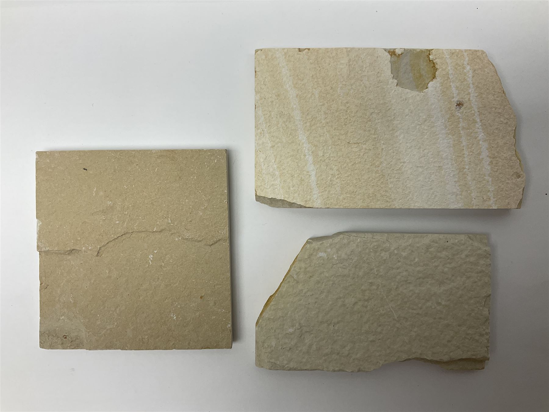 Two fossilised fish (Knightia alta) each in an individual matrix, age ...