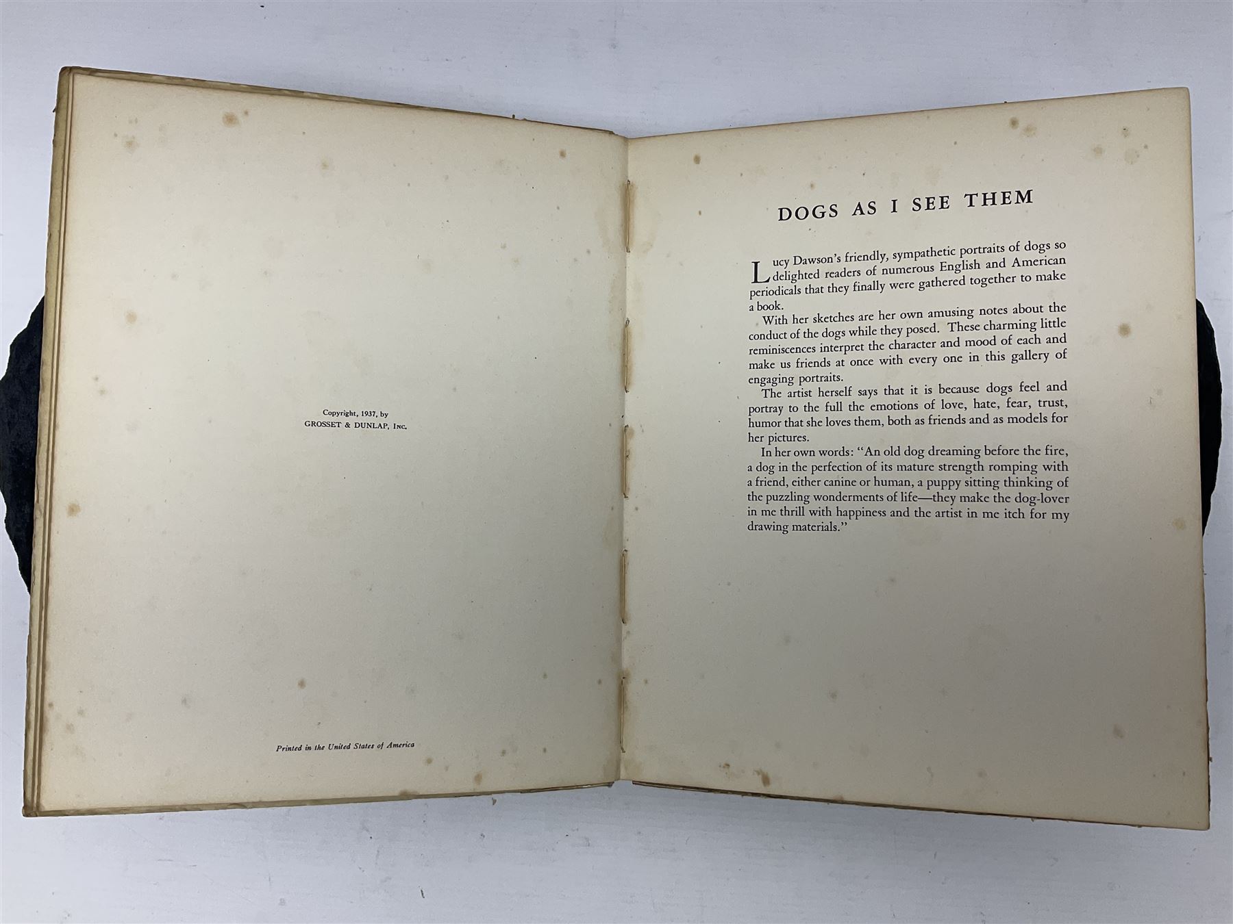 Lucy Dawson; Dogs as I see Them, with twenty two Illustrations in ...