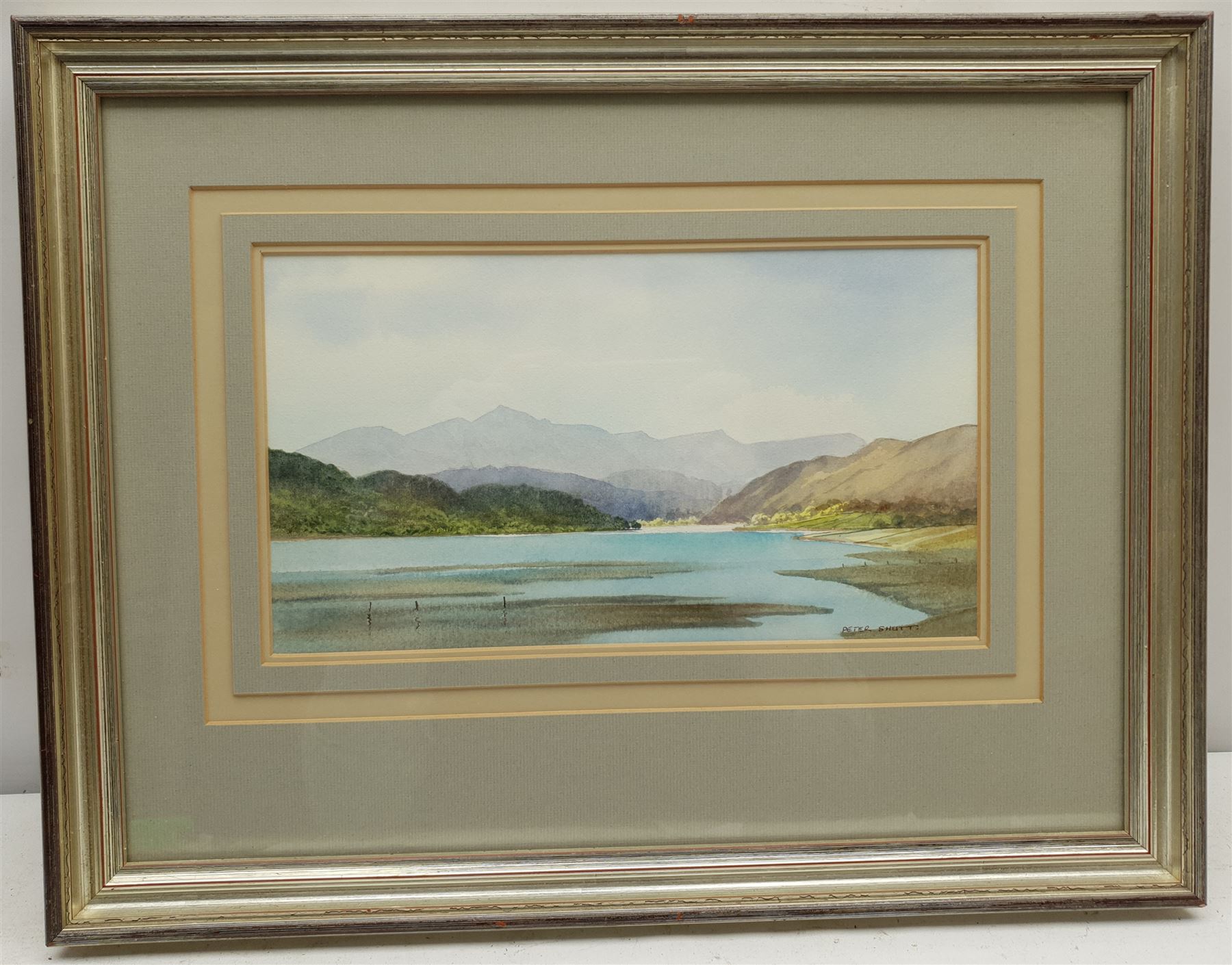 Peter Shutt | Paintings, Drawings & Prints | 21924