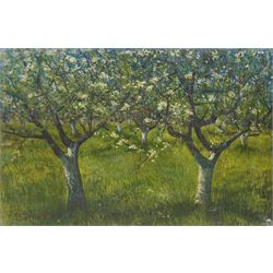 John Gilbey Bowles (British 1929-2011): 'Fruit Trees in - 21/03/2025