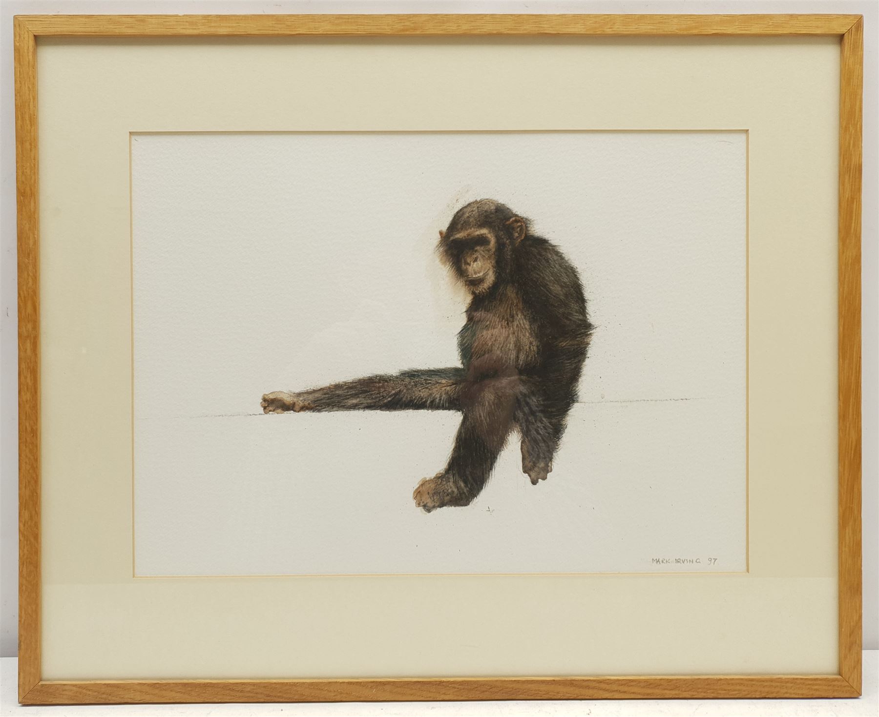 Mark Irving (Northern British Contemporary): Chimpanzee | Paintings ...
